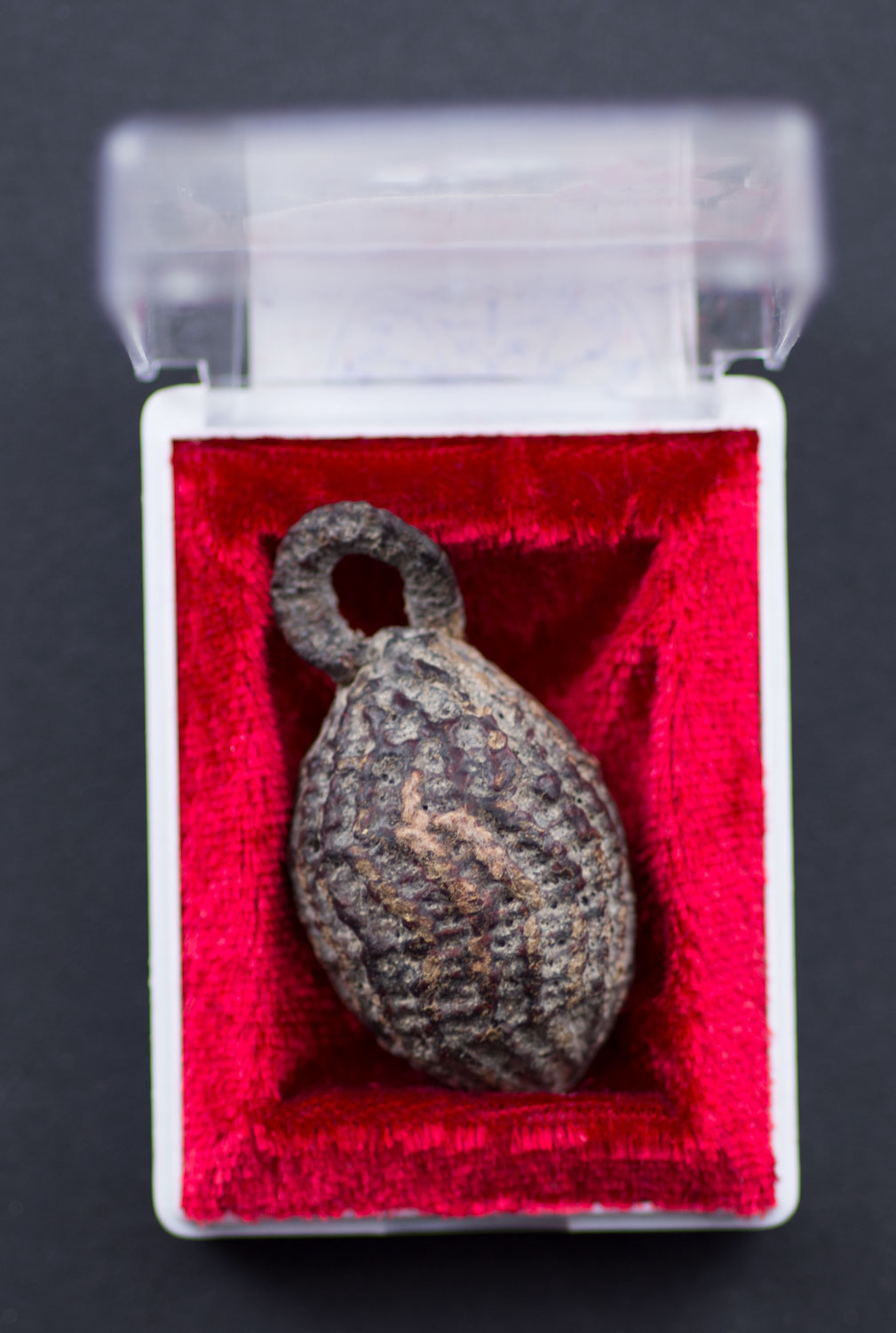 Amulette thaï Bia Gae LP Lam Wat Ratchaworawihan Protection Certificat