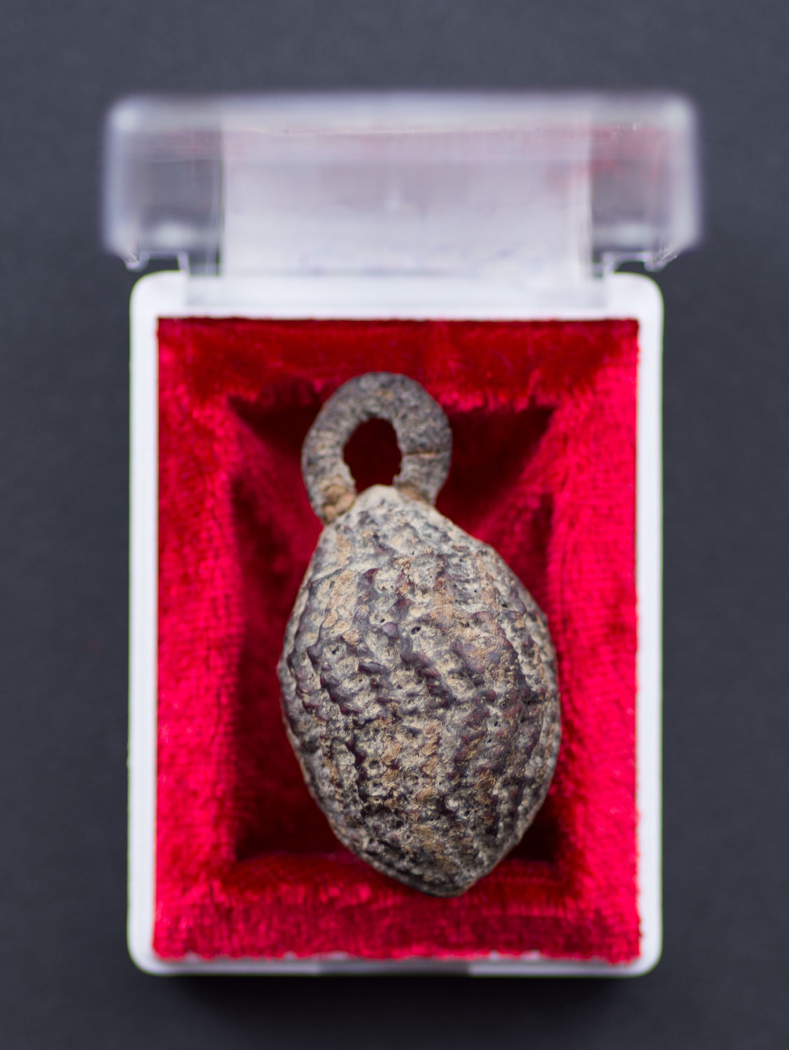 Amulette thaï Bia Gae LP Lam Wat Ratchaworawihan Protection Certificat