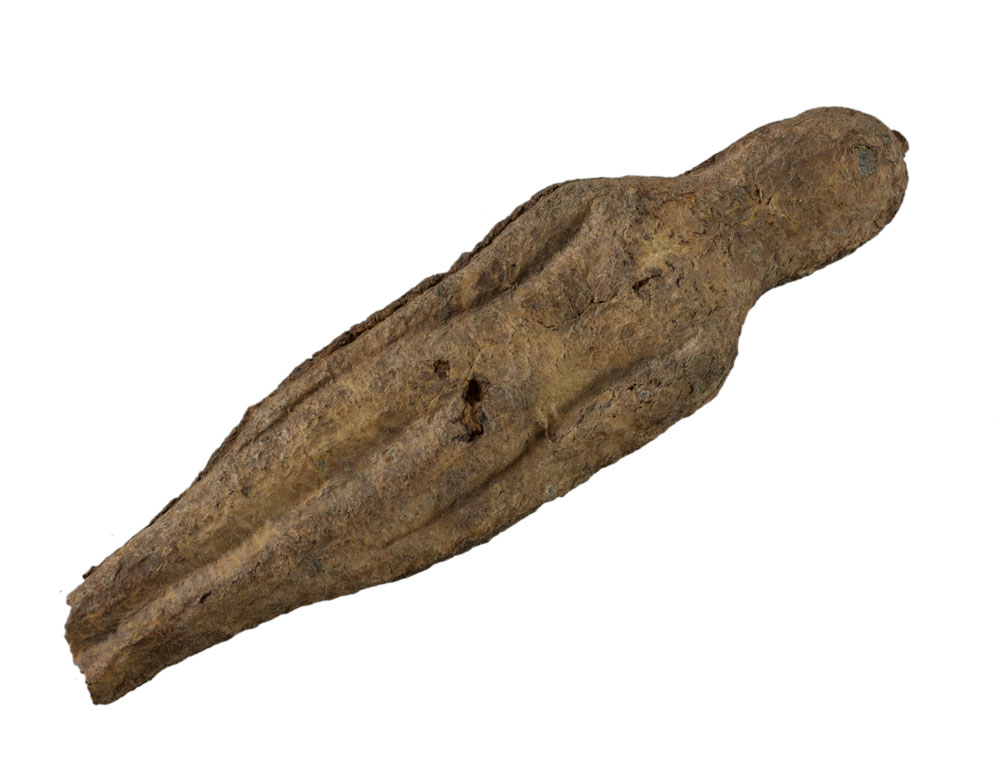 Nariphon femelle Makkaliphon- Arbre fruitier de la fertilité -Nareepol ...