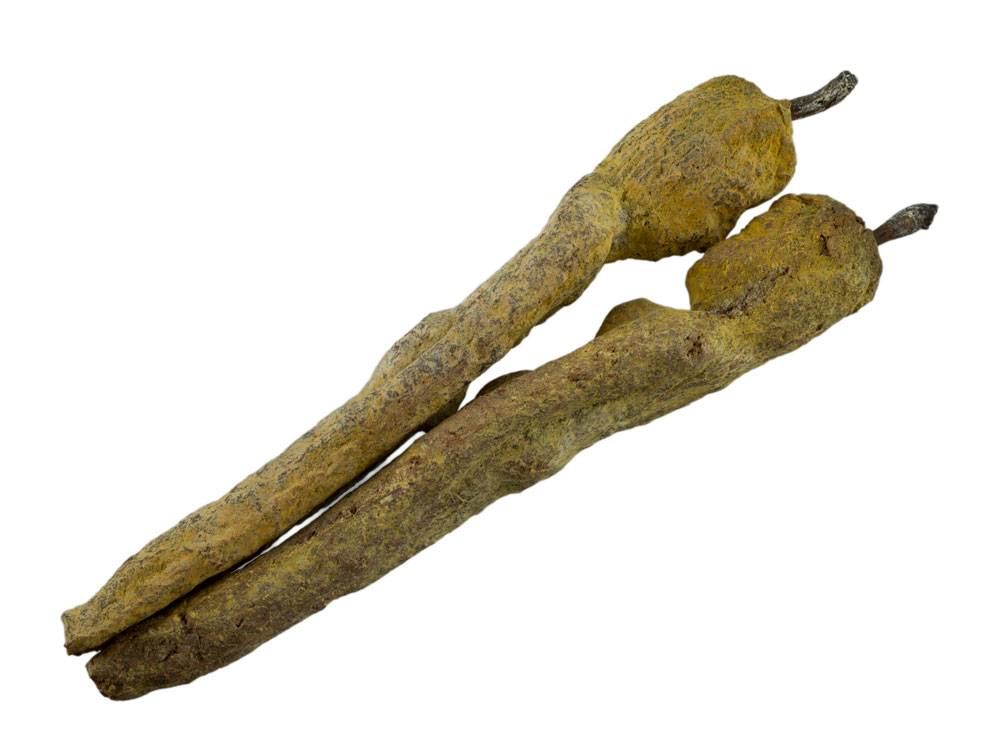 Nareepol -Couple Nariphon Makkaliphon- Arbre fruitier de la fertilité ...