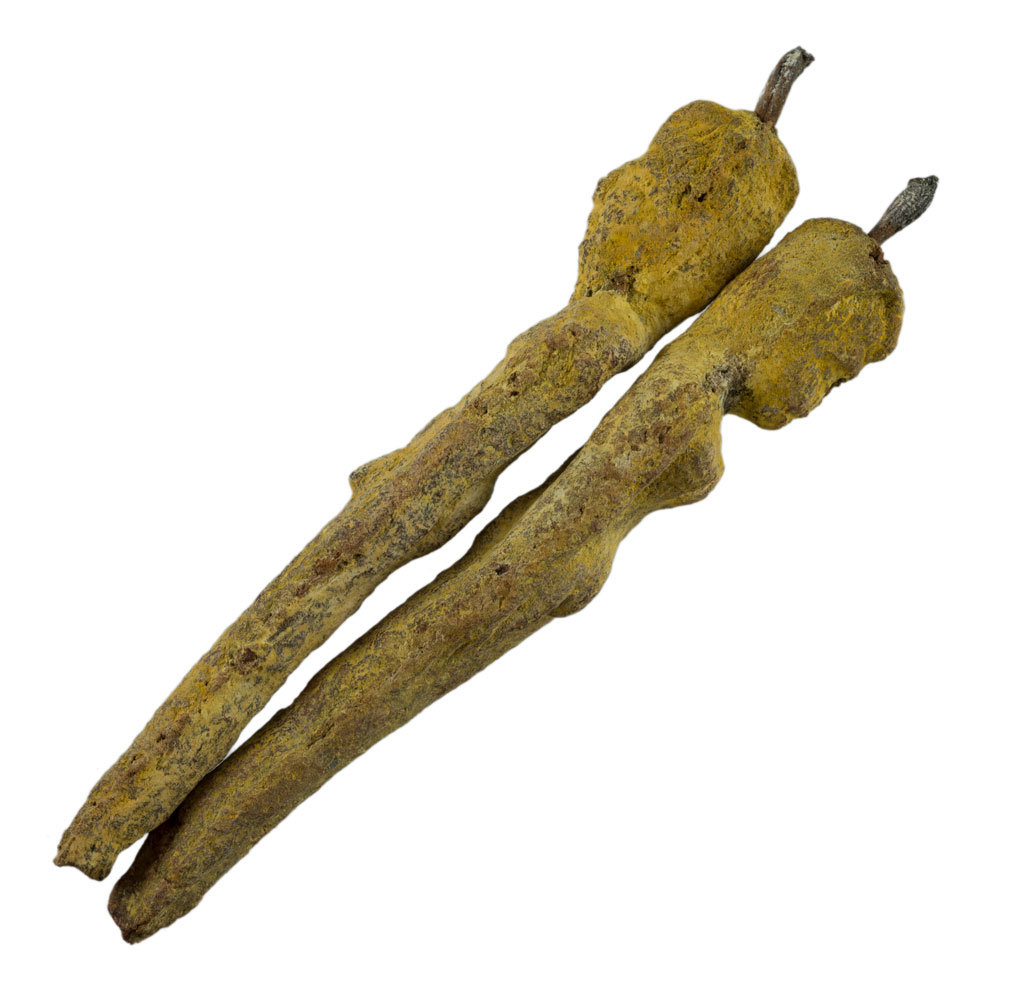 Nareepol -Couple Nariphon Makkaliphon- Arbre fruitier de la fertilité ...