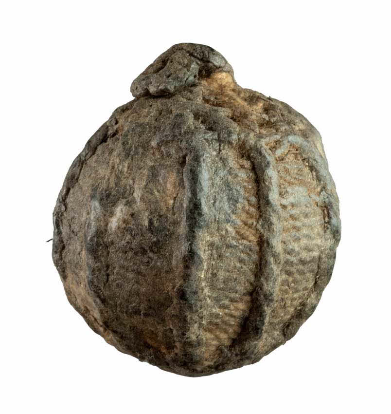 Amulette Look Sakot Takrut - Figurine Spirituelle de Thaïlande